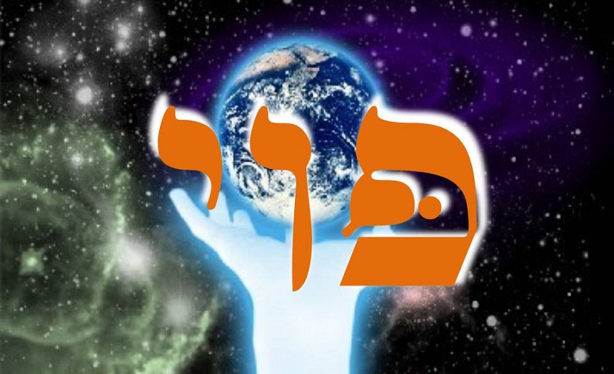 Poyel Guardian Angel Born December 27 to 31 | Guardian Angels